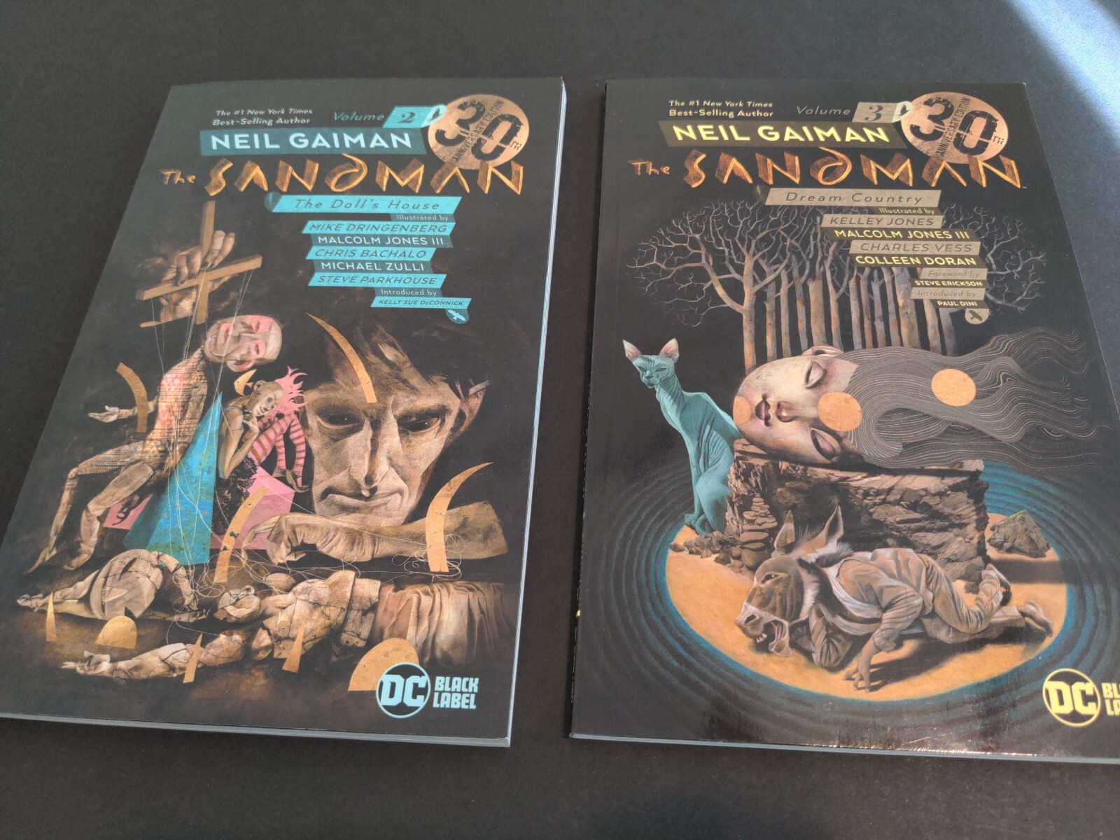 DC Black Label The Sandman Graphic Novel TPB 2 & 3 Doll's House & Dream ...