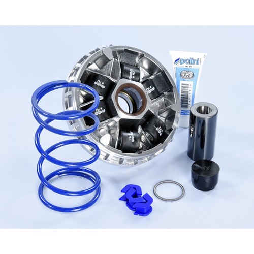 Free Shipping Polini Hi-Speed Variator For Motorcycle Scooter Parts ...