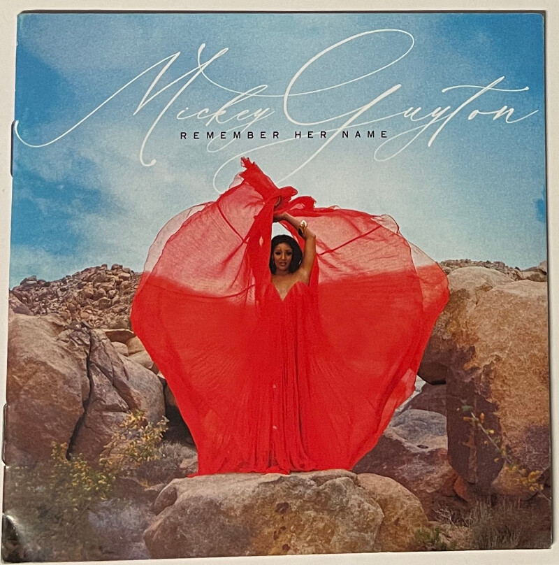 Remember The Name Album Cover