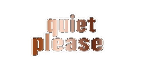 Quiet please Mini Bumper Stickers Funny Vinyl Decal | eBay