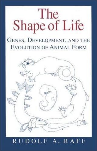 Shape of Life : Genes, Development, and the Evolution of Animal Form by ...