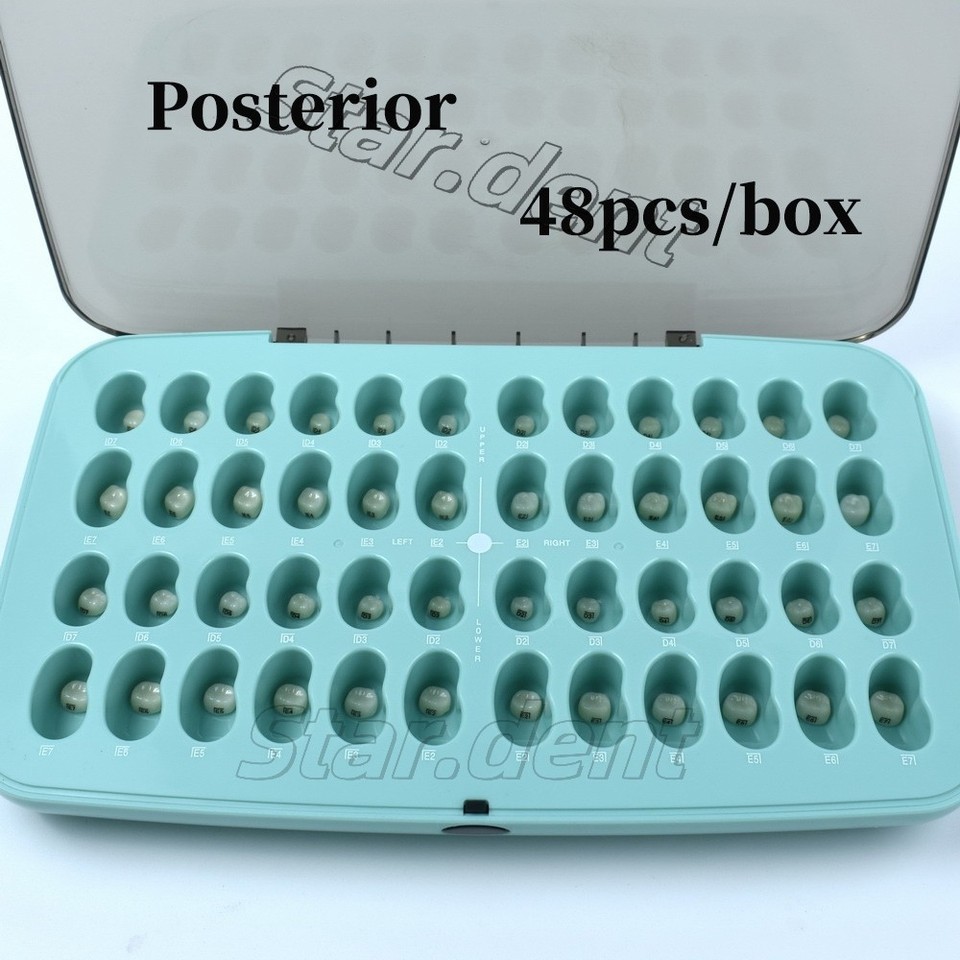 48pcs Dental Zirconia Crowns Kit Kids Posterior Teeth Primary Molar ...