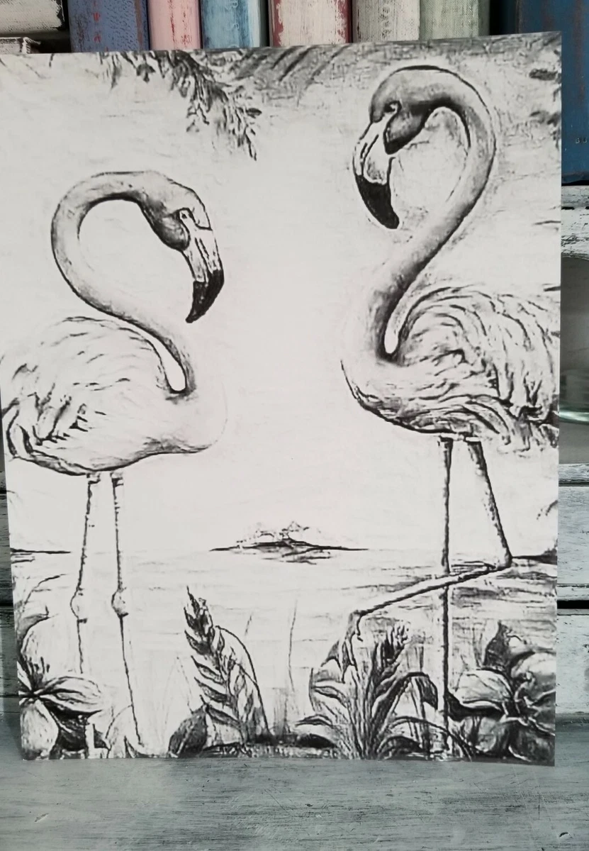 Flamingo Pencil Drawing