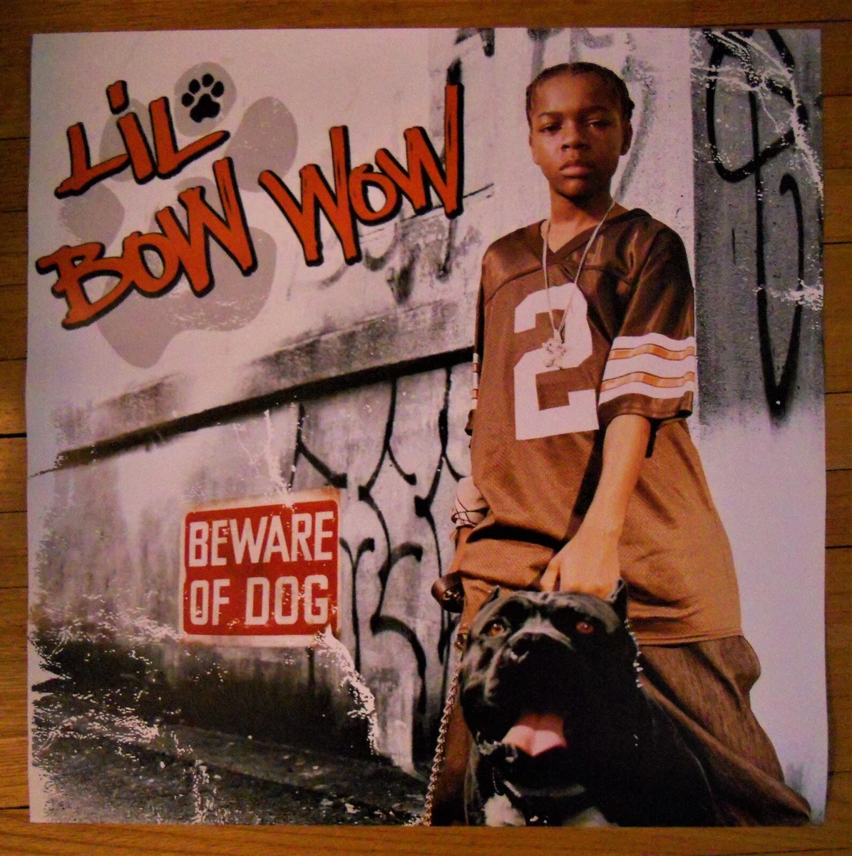 Lil Bow Wow 2000
