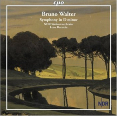 Bruno Walter Bruno Walter: Symphony in D Minor (CD) Album | eBay