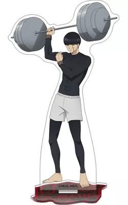 Acrylic Stand Panel Mash Burunded Mushle-Mashle- | eBay