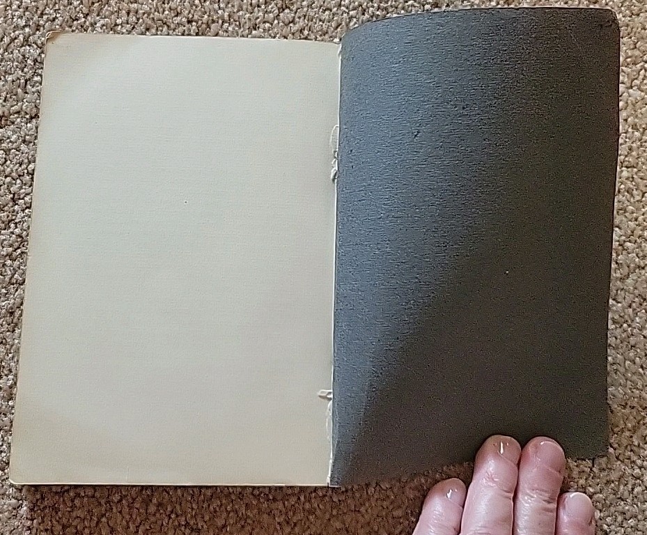 Daughters of India by Mary J. Campbell (1908) Paperback | eBay