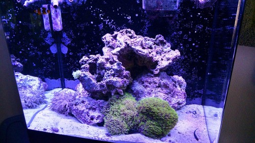 Red Sea Max 130D Full spectrum 170W LED reef light retrofit upgrade LPS ...