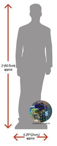 Joseph Pera (Shirt) Mini Size Cutout | eBay