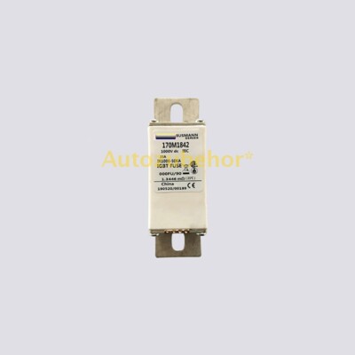 1PCS New 170M1842 Fast-Acting IGBT Fuse 25A 1000V | eBay