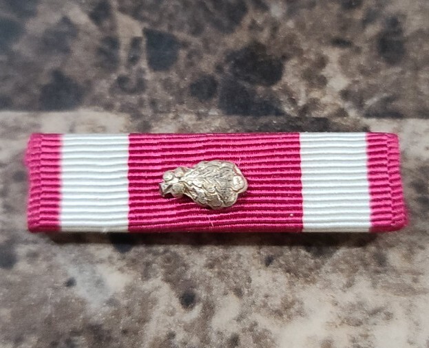 Meritorious Service Medal Ribbon Bar with Silver Oak Leaf Cluster ...
