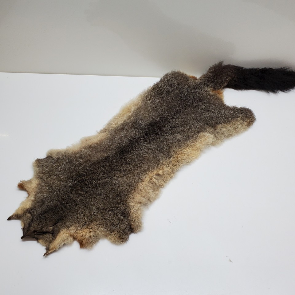 Lot of 2 Australian Possum Fur Pelts | eBay