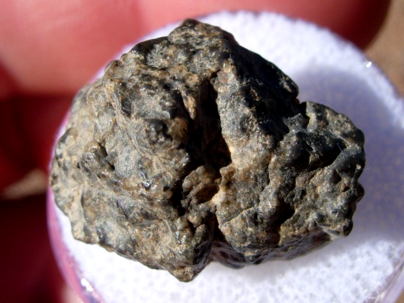 4.40 grams 20x14x13mm Gadamis 004 Lunar Meteorite as found individual ...