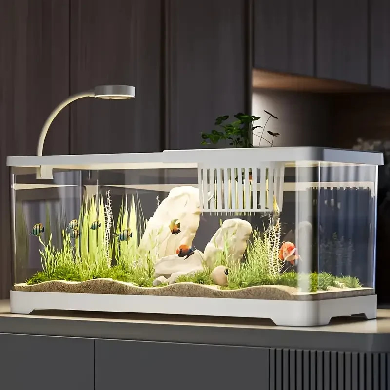 Beautiful 5 Gallon Clear and White Fish Tank for Desk with Realistic ...