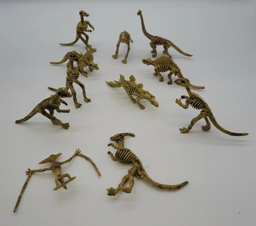 11 Pieces Unique Dinosaur Fossils Skeleton Figures Dino Toy Model | eBay
