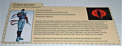 GI JOE File I.D. Card Filecard 2002 Cobra Slice V4 | eBay