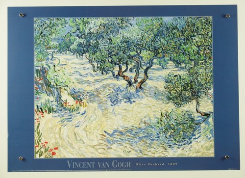 VINCENT VAN GOGH Olive Orchard ~ vintage high quality museum poster ...