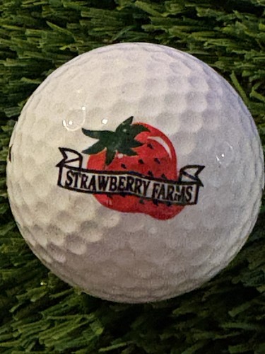Strawberry Farms Golf Club Logo Golf Ball- Irvine California CA | eBay