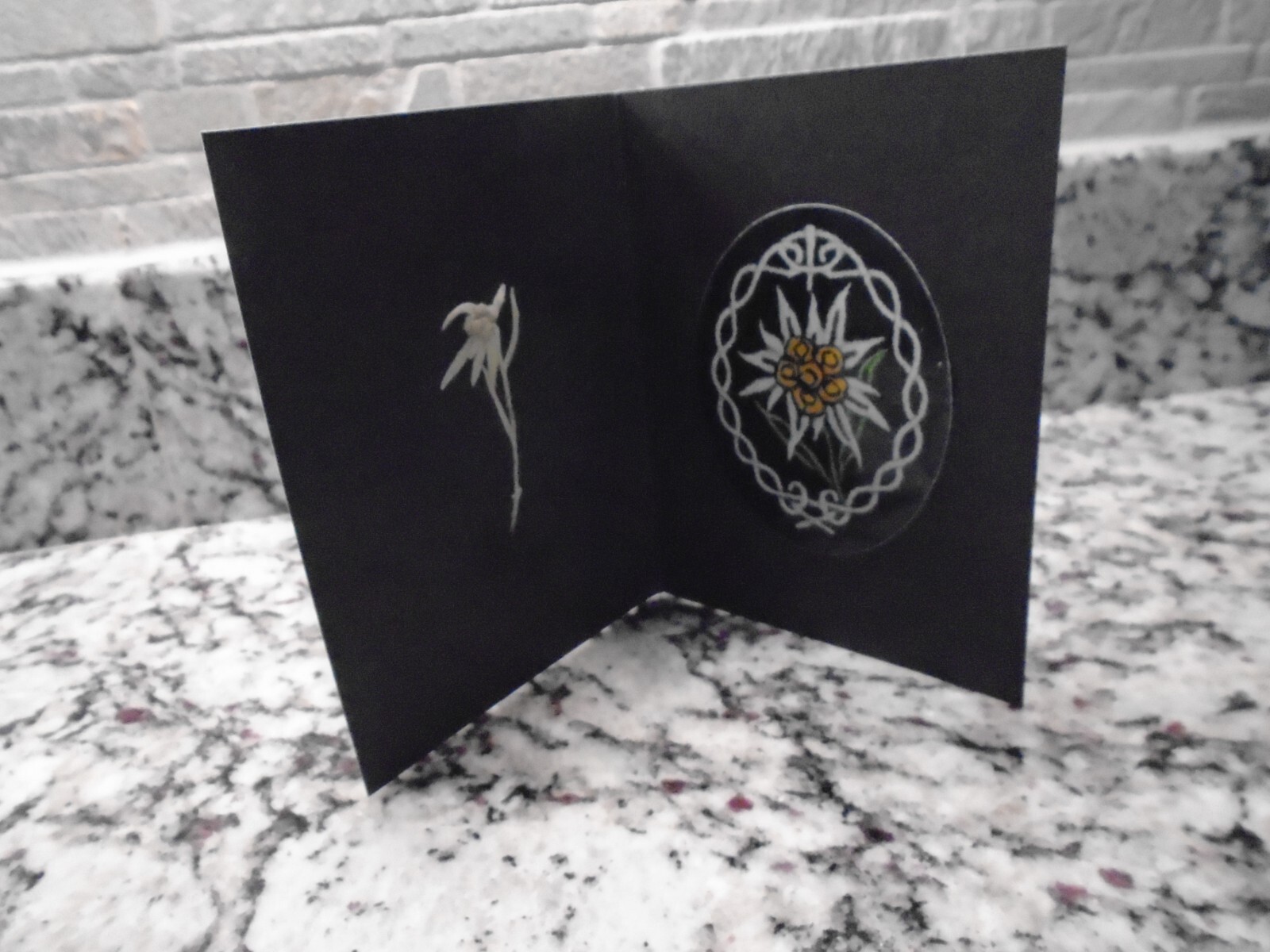 Edelweiss Flower Ww2 | Best Flower Site