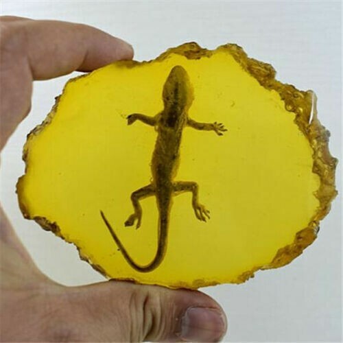 Beautiful Amber Gecko Fossil Insects Manual Polishing Decorative Pieces ...