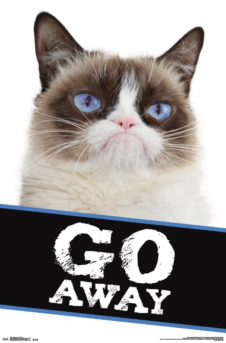 Grumpy Cat Last Day