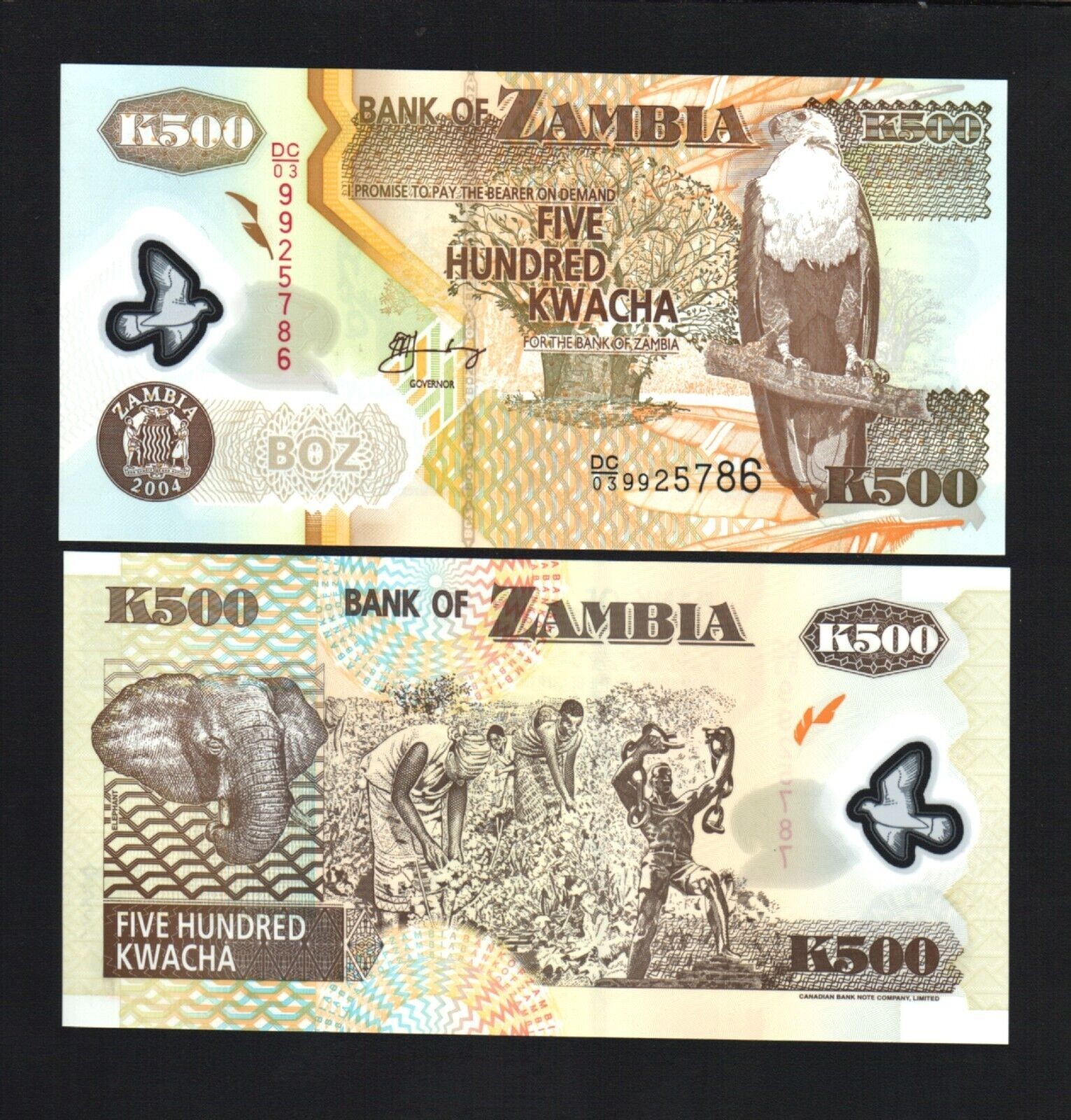 Zambia 500 KWACHA P-43 2004 UNC Zambian ELEPHANT Fish Eagle POLYMER ...