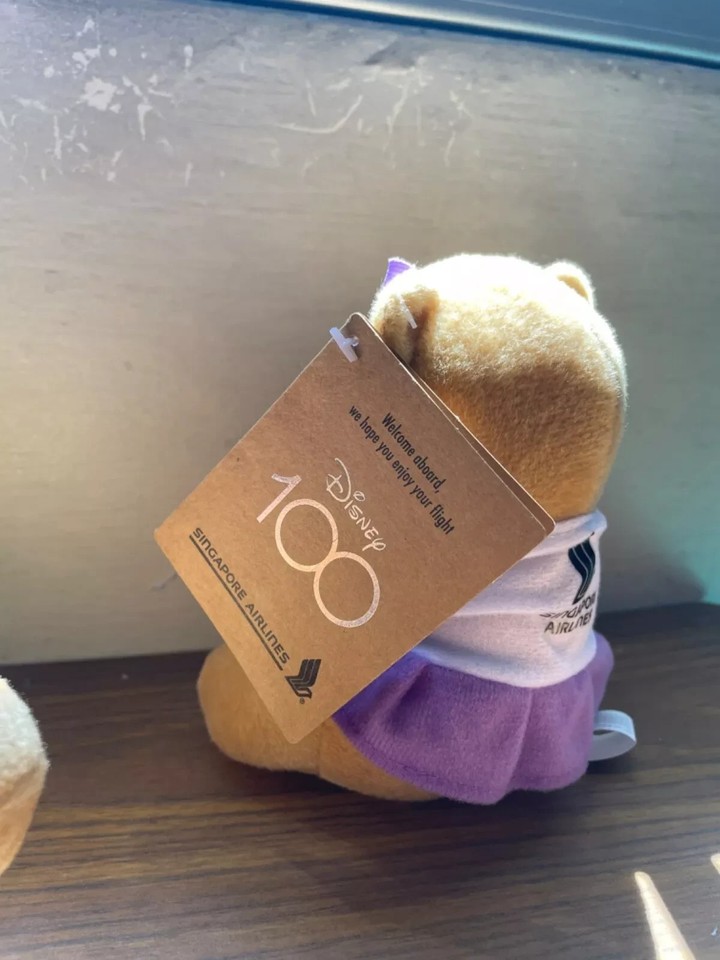 Singapore Airlines Boy & Girl Disney 100 Plush Teddy Bear Set (SIA) | eBay