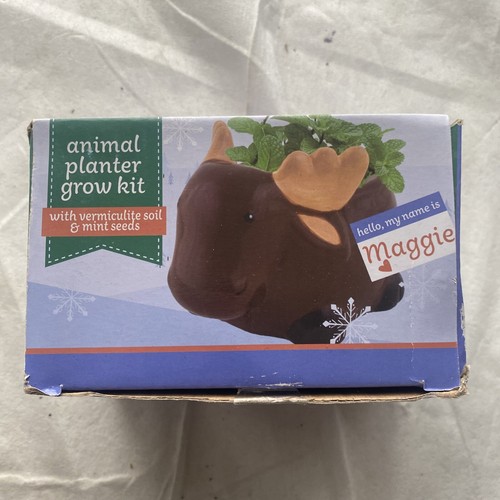 Maggie the Moose Watch Me Grow Animal Planter With Soil And Seed ...