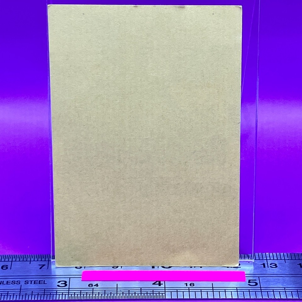 Zekrom 496 Pokemon Kids Sticker Seal 2010 BANDAI Nintendo TCG Japanese ...