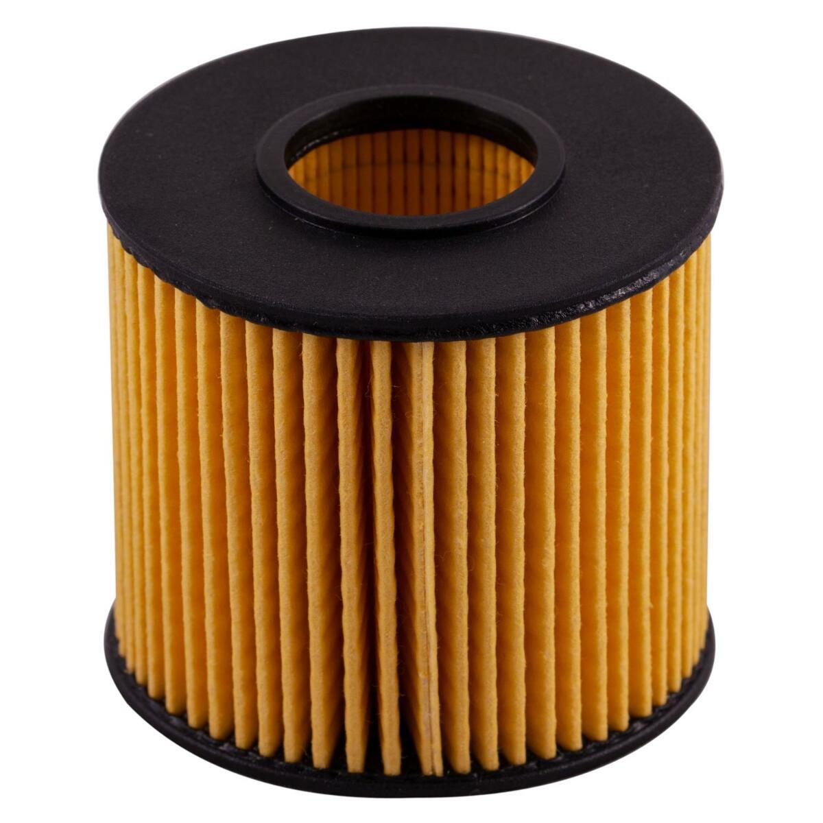 ECOGARD Premium Oil Filters Case (12 Pack) - X5608 | eBay