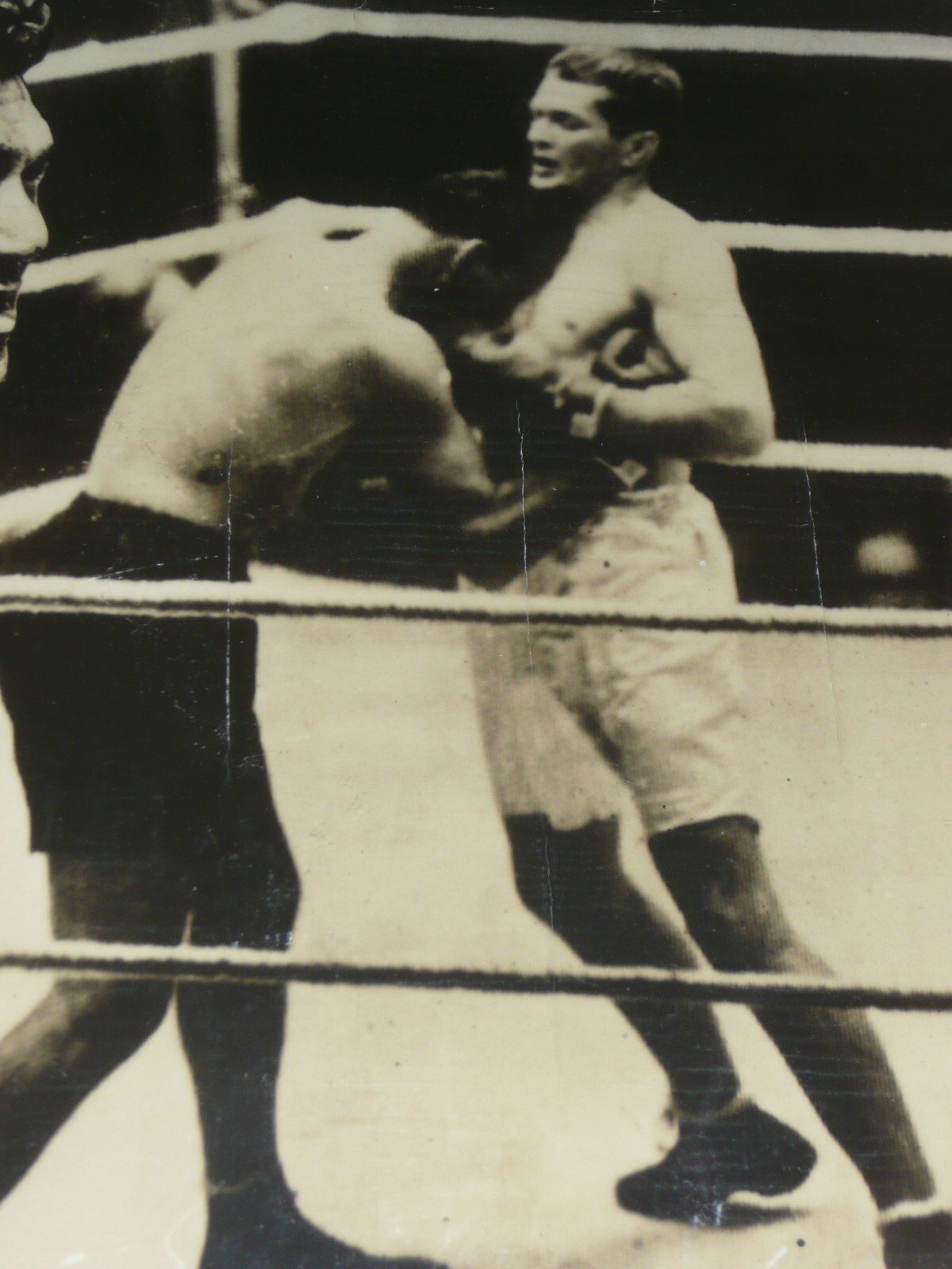 Boxing! Dempsey/ Tunney 1927 " Battle of the Long Count" Photo ...