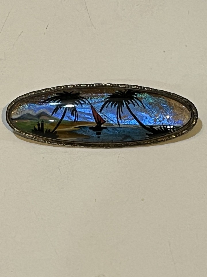 Antique Edwardian Brooch, Sterling Silver Morpho Butterfly Wing ,Thomas ...