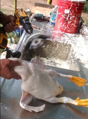 Submersible & Sump - Water Wizard