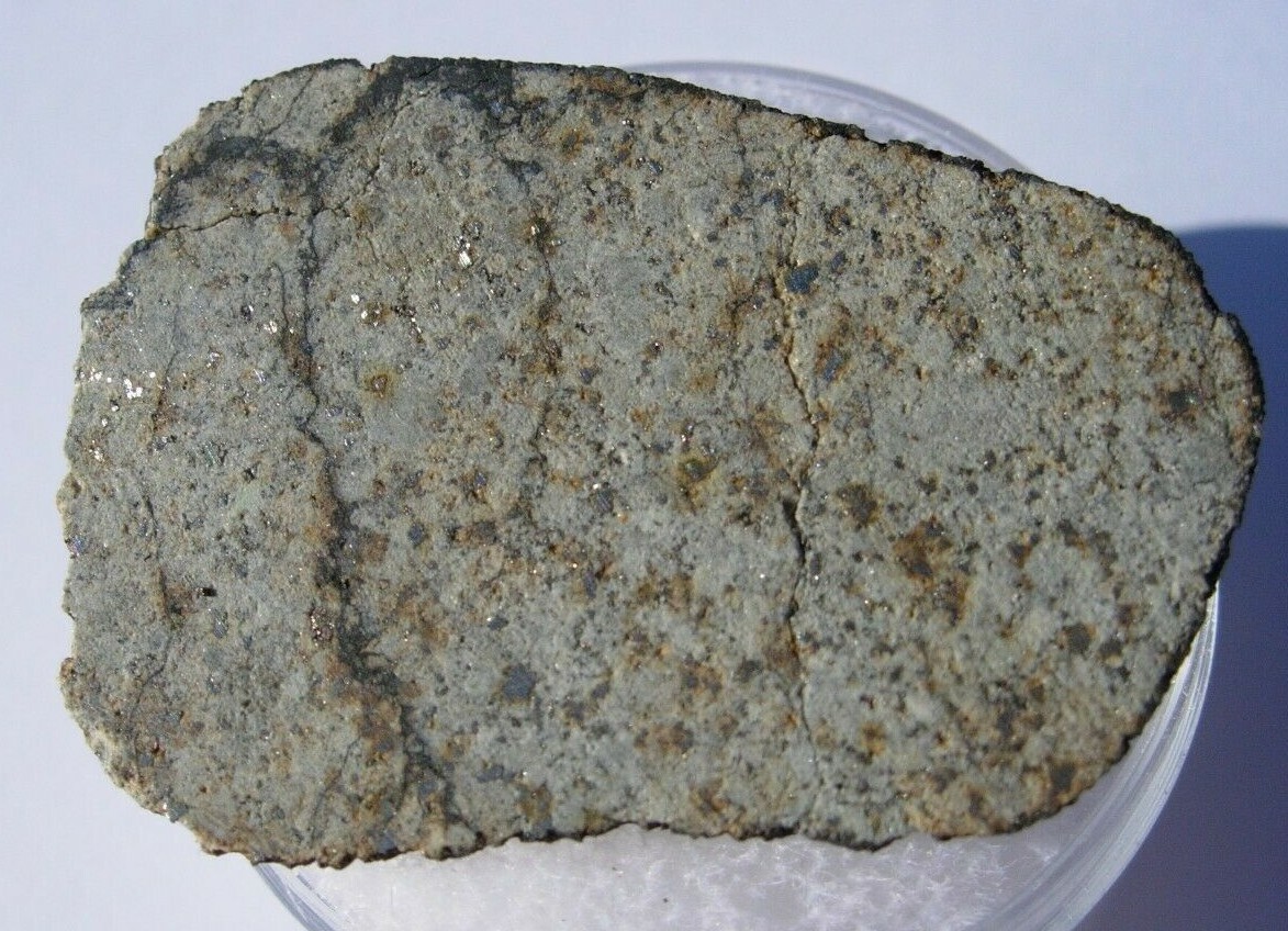 Vinales meteorite slice 4.295 grams 30x21x4mm COA melt with shock veins ...