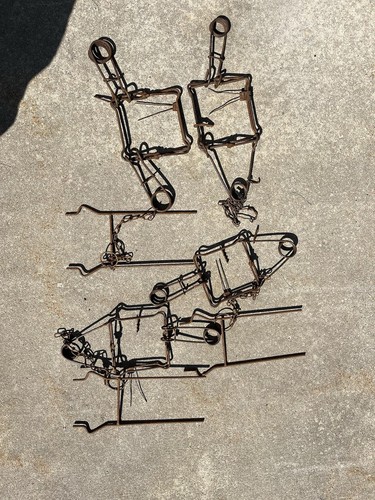 4 220 Conibear style animal body traps, Raccoon, coon, woodchuck ...