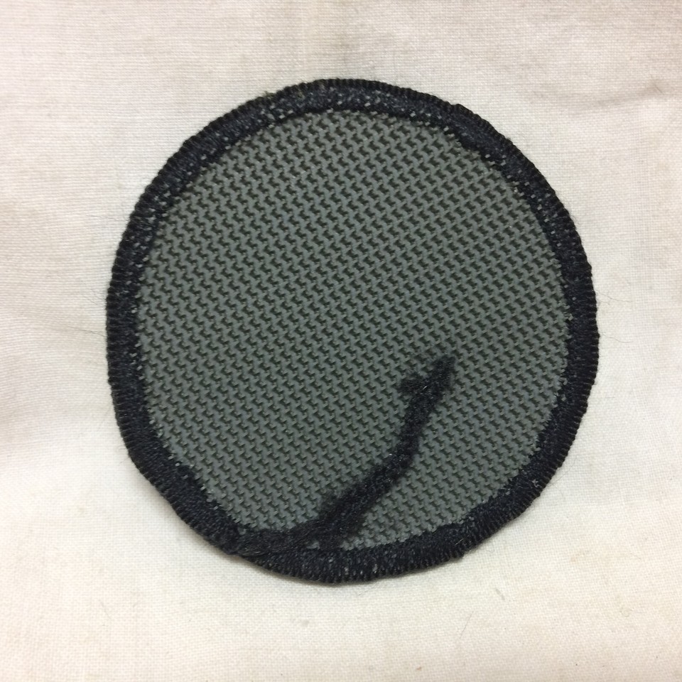 Military Patch Badge Army 116th Armored Cavalry Brigade ACU Hook Loop ...