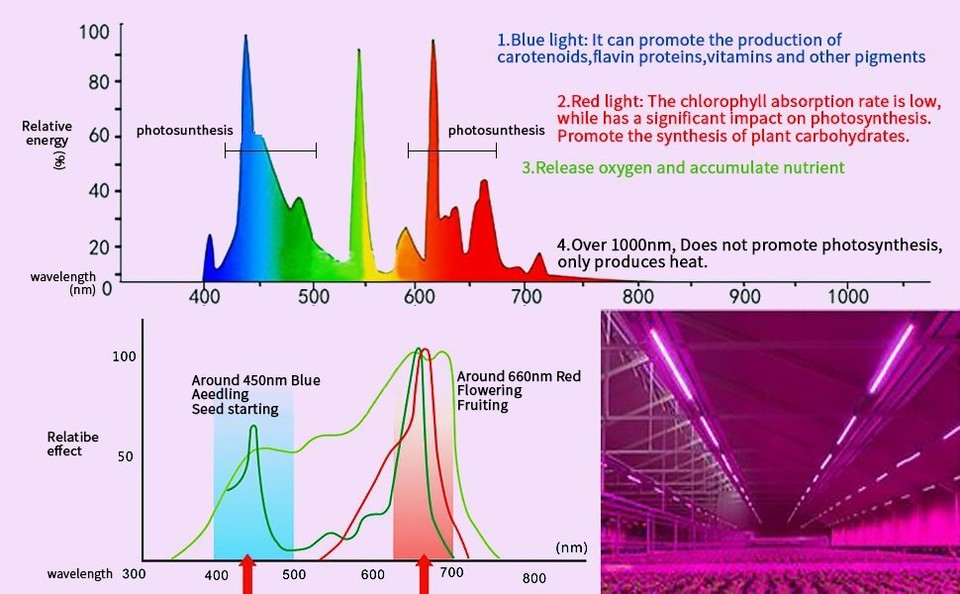 4-20 Pack T8 2FT/4FT LED Plant Grow Light LED Tube Full Spectrum Red ...