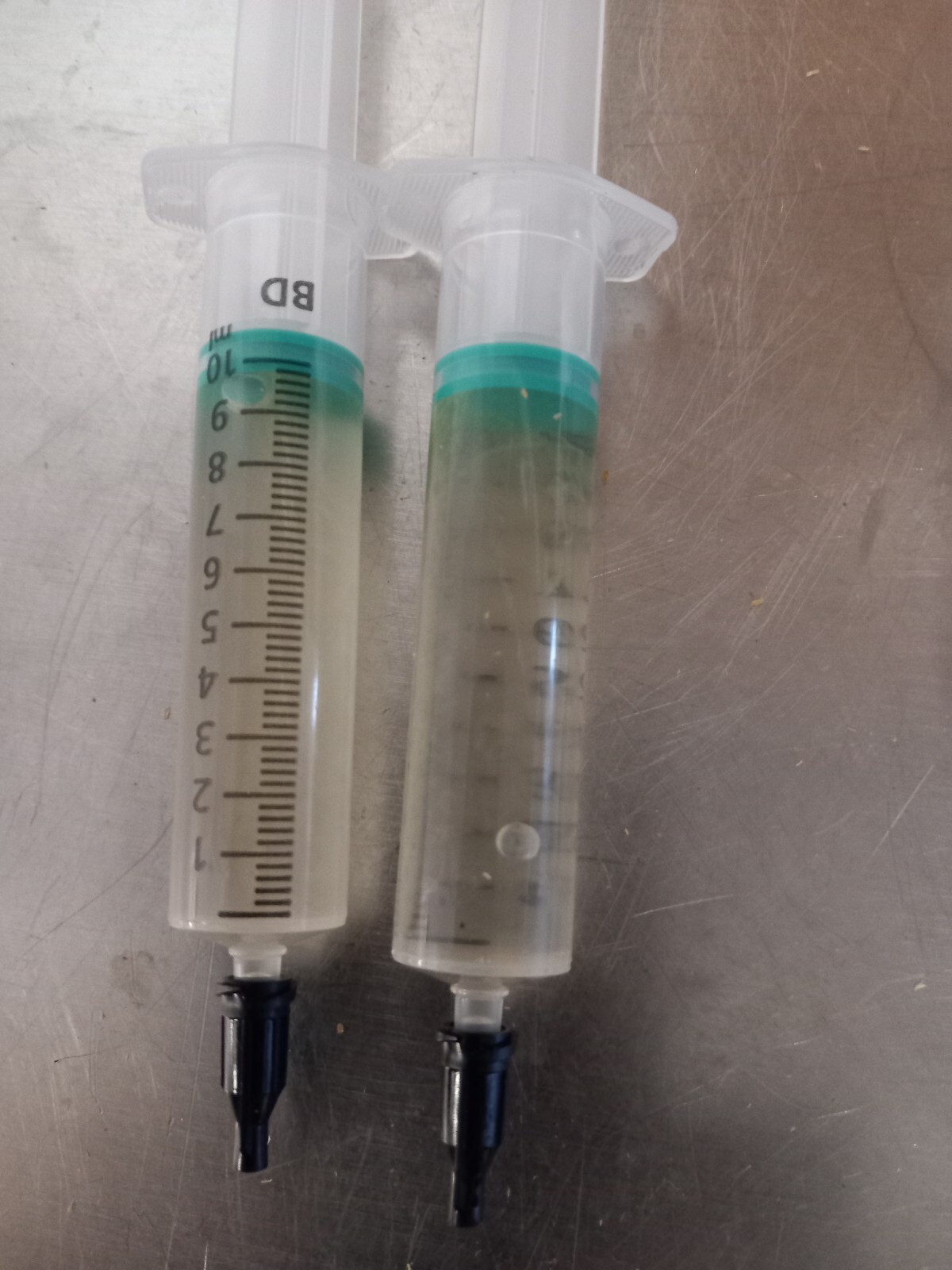 fully colonized pink oyster liquid culture mycelium | eBay UK