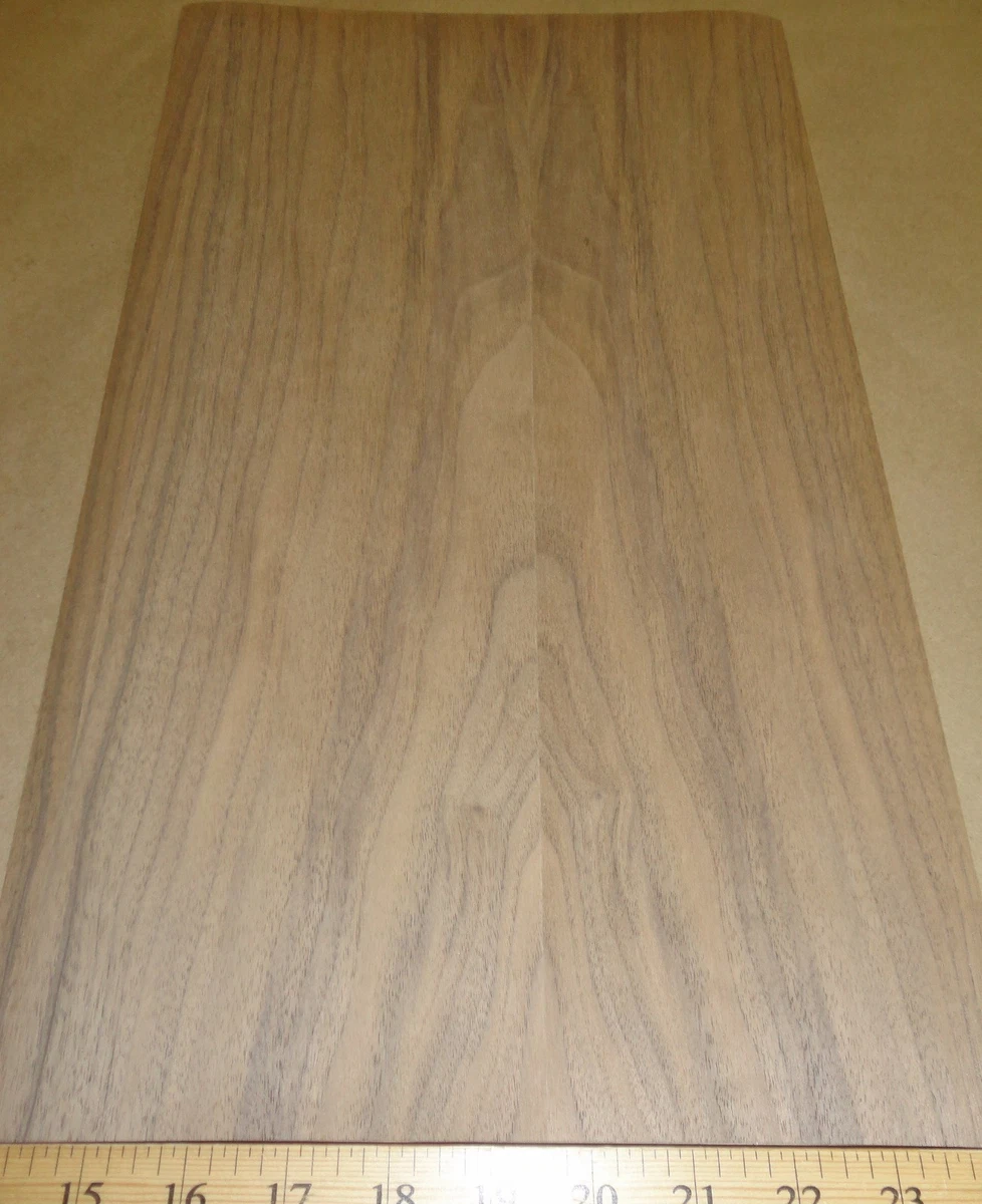 Walnut Sapwood