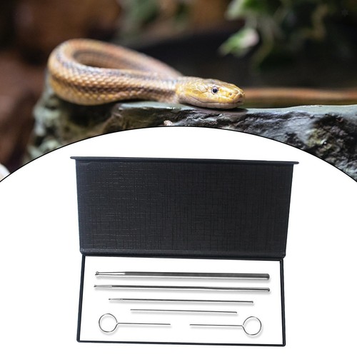 6Pcs Reptile Snake Gender Detection Tool Round Ball Tip Lightweight ...