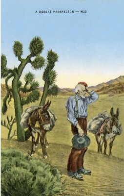 Desert Prospector --POSTCARD | eBay