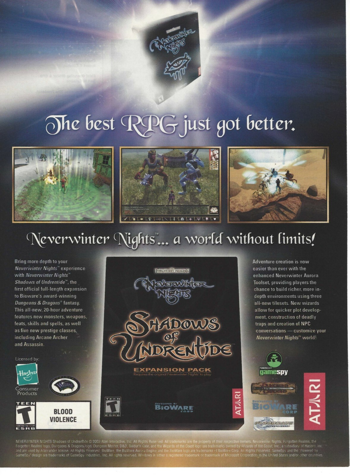 Neverwinter Nights: Shadows Of Undrentide Print Ad/Poster Art PC Small ...