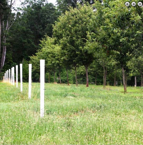 Plantra SunFlex Greenhouse Grow Tube System for Deciduous Trees w ...