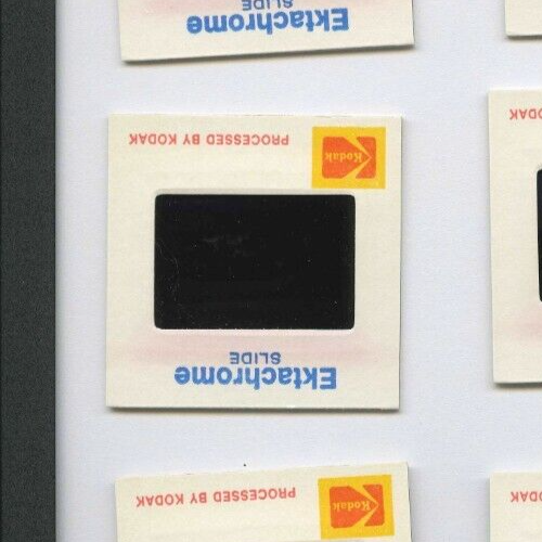 Carl Shafer #21 Chevy Camaro - 1976 Camel GT/IMSA Ontario - Vintage ...