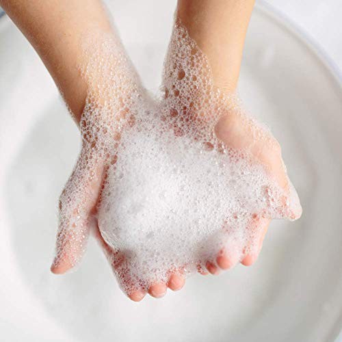 Antimicrobial Hand Soap: Silky Pink Lotion Liquid Hand Wash -Bulk ...