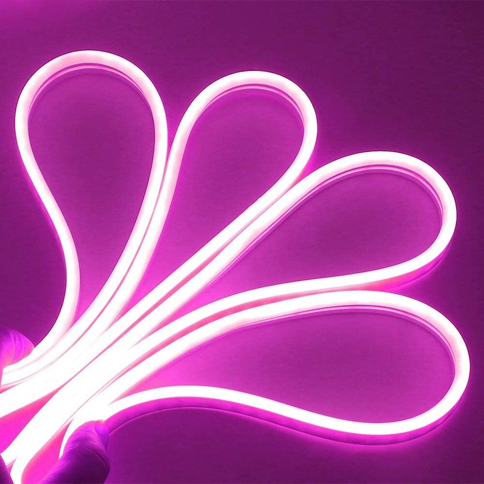 12V Flexible LED Strip Waterproof Sign Neon Lights Silicone Tube 1M 2M ...