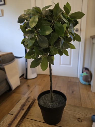 Ikea Artifical Fejka Bay Tree 12cm Tall Plant Pot | eBay UK