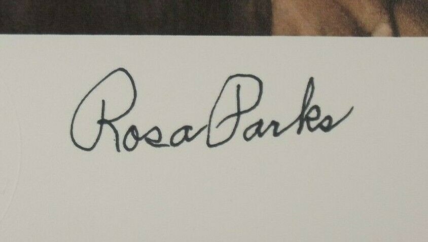 Rosa Parks Signature Sweet Signature Series Rosa Parks (Pink)