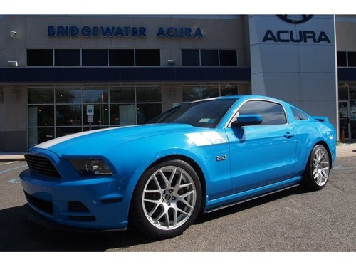 2010-2012 FORD MUSTANG REAR DECK LID SMOKED PANEL WAR OF 25 SAVE OUR ...