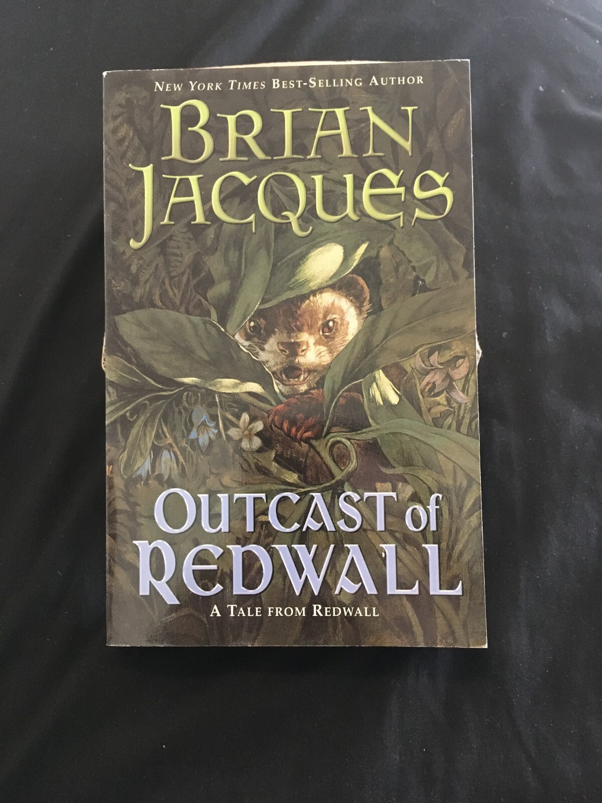 Redwall Ser.: Outcast of Redwall : A Tale from Redwall by Brian Jacques ...